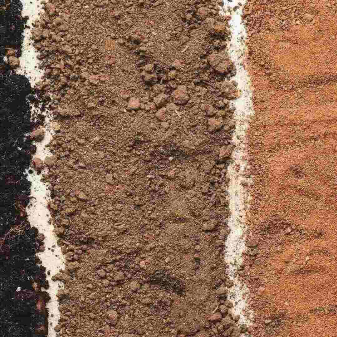 Bodenarten - Die wichtigsten Infos 2025